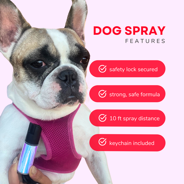 Safely | Women's Self-Defense Products & Safety Tips